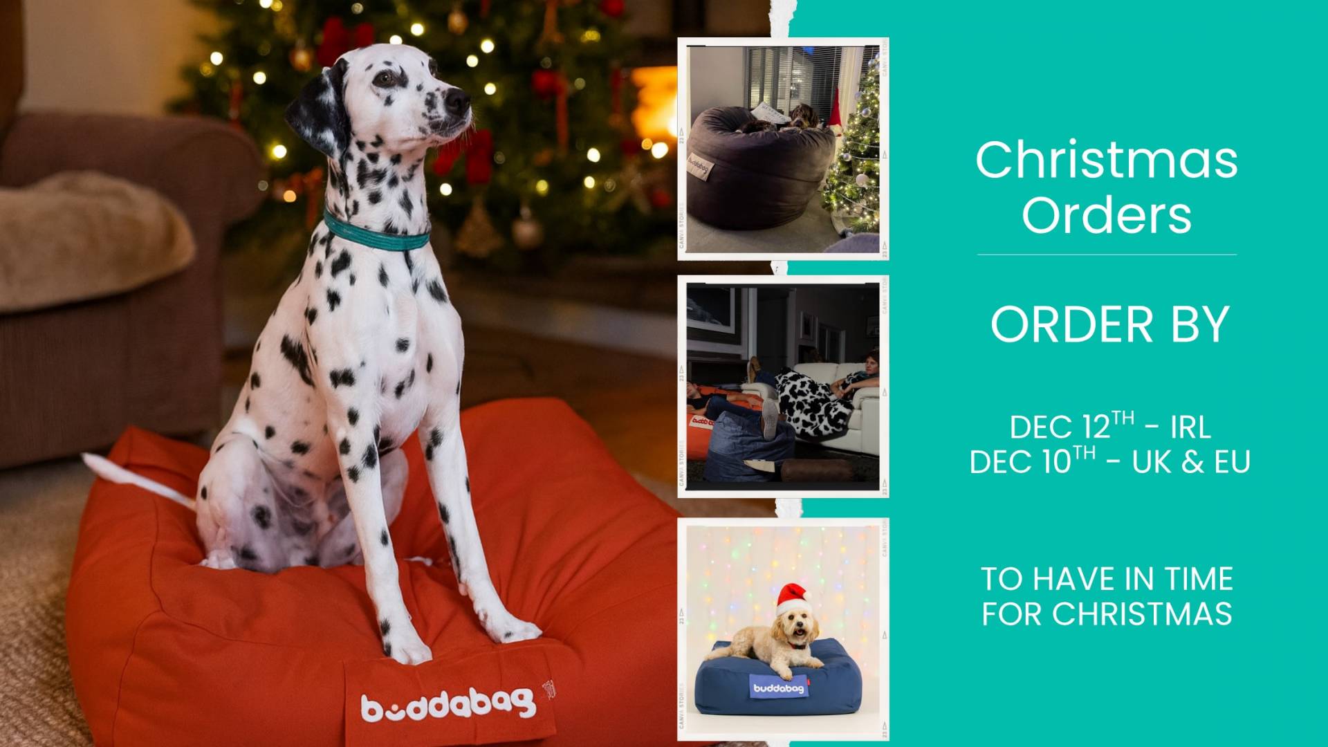 Buddabag | Memory Foam Bean Bags | Free Shipping to Ireland